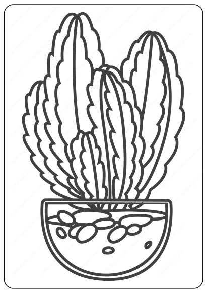 Cute Prickly Cactus Coloring Pages Book