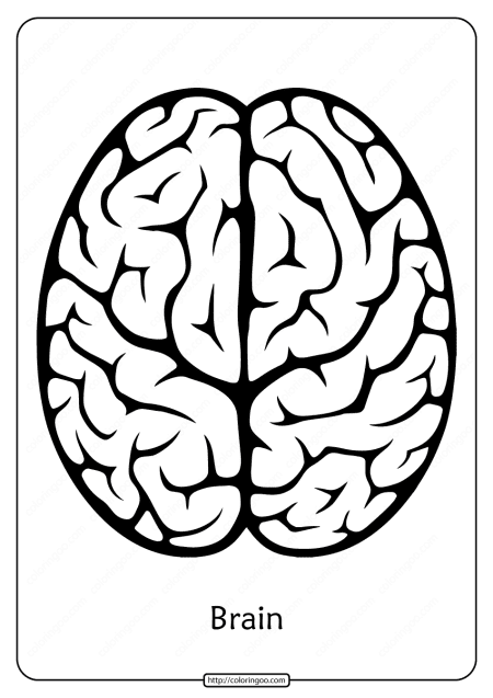 Brain Lobes Coloring Page