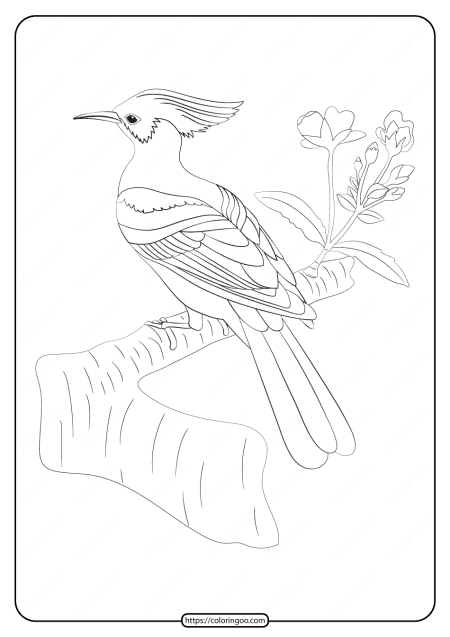 Free Printable Animals Bird Pdf Coloring Pages 25