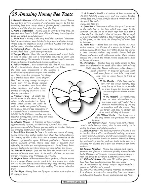25 Amazing Honey Bee Facts Worksheet